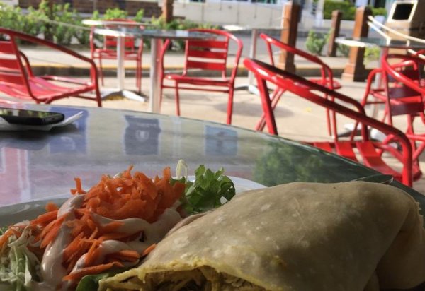 Blue Monkey Cafe Restaurant - Best Food | Delivery | Menu | Coupons